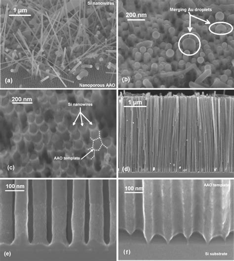 Scanning Electron Microscopy Image Of A Silicon Nanowire Array Download Scientific Diagram
