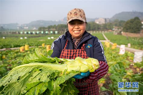 川渝携手共建全球泡榨菜出口基地