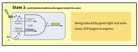 Team Zju China Design Igem Org