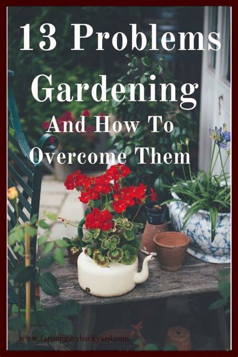 13 Problems Gardening And How To Overcome Them Farming My Backyard