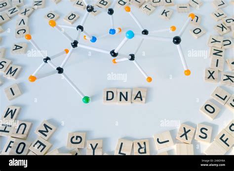 Close Up Of Word Dna Scattering Of Wooden Squares With Letters Model
