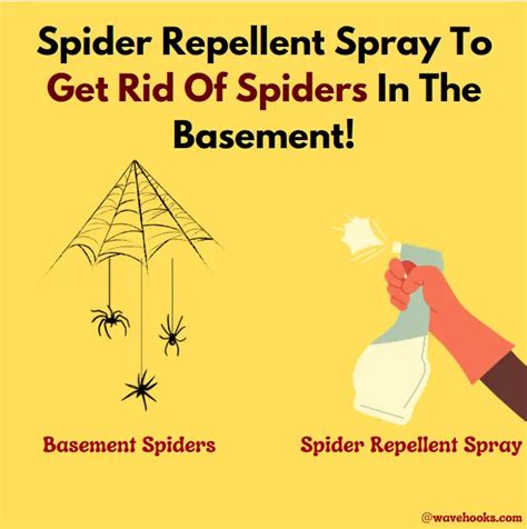 How To Keep Spiders Out Of Your Basement 17 Proven Tactics Wavehooks