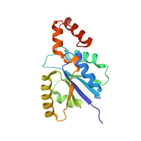 Rcsb Pdb 8i8p Crystal Structure Of The Complex Of Phosphopantetheine Adenylyltransferase From