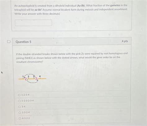 Solved An Autopolyploid Is Created From A Dihybrid
