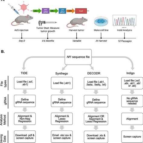 Model Of Crispr Cas9 Tumorigenesis Model And Sequence Collection And Download Scientific