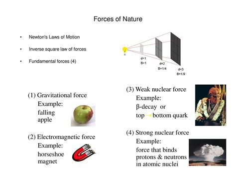 4 Strong Nuclear Force Force That Binds Protons Neutrons Ppt Download
