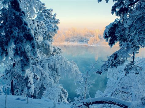 桌布 厚厚的雪，樹，湖，冬天 2560x1600 Hd 高清桌布 圖片 照片