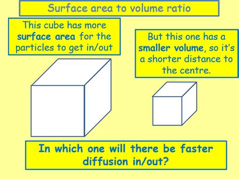 Aqa Biology Unit 1 L8 Diffusion And Surface Area To Volume Ratio Teaching Resources
