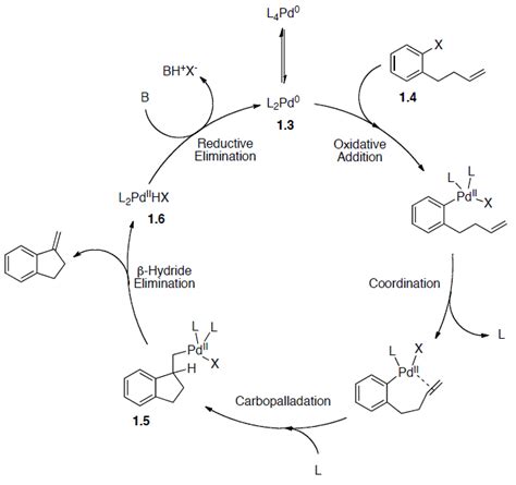 Scheme 2 2 General Catalytic Cycle Of A Pd 0 Pd Ii Intermolecular Download Scientific