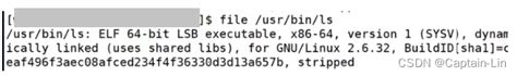 【linux初阶】环境变量 如何设置、获取环境变量?查看环境变量 Csdn博客 【linux初阶】环境变量 如何设置、获取环境变量?查看环境变量 Csdn博客