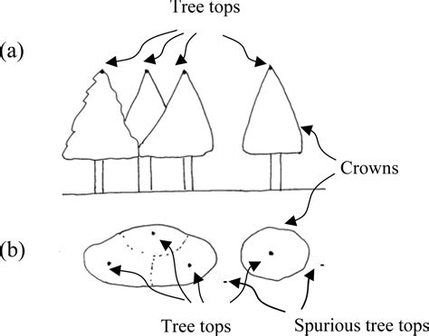 Improving The Precision Of Tree Counting By Combining Tree Detection With Crown Delineation And
