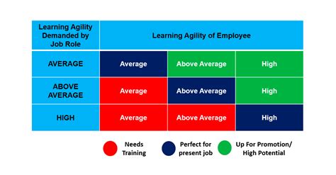 Learning Agility What It Is Examples And How To Assess It