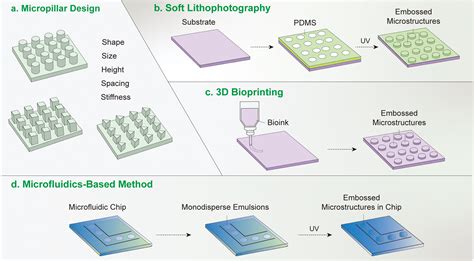 Biocell Free Full Text Advances In Micropillar Arrays In Cellular