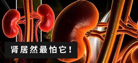 肾最怕的居然是这个？ 知乎