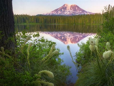 ภูเขา ทะเลสาบ ป่าแสนสวย ภาพธรรมชาติ