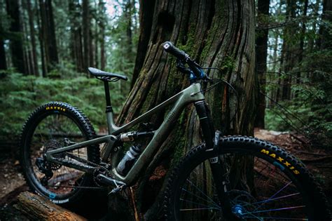 The Learning Curve Added A New Photo The Learning Curve