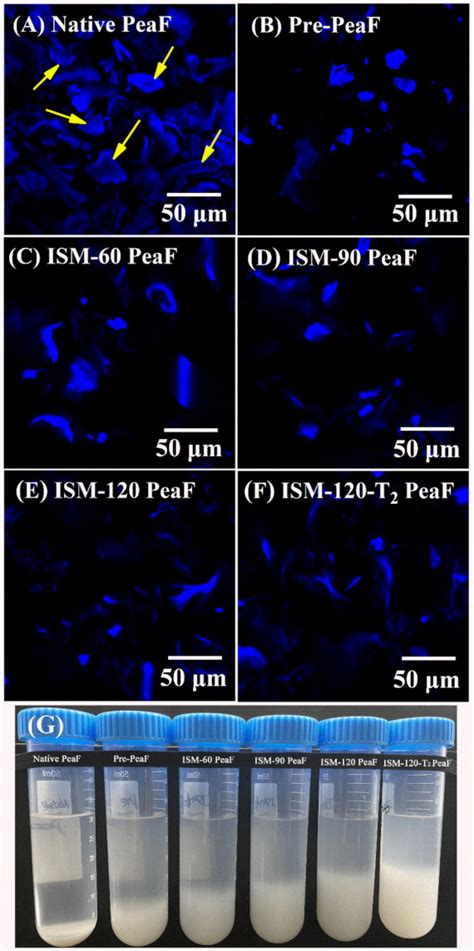Disintegrating The Structure And Improving The Functionalities Of Pea Fiber By Industry Scale Disintegrating The Structure And Improving The Functionalities Of Pea Fiber By Industry Scale