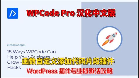 Wpcode Pro 汉化中文版函数自定义添加代码片段wordpress插件激活攻略 Youtube