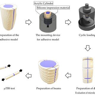 Procedures For Using The Adhesive Model Download Scientific Diagram