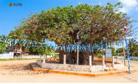14 Best Places To Visit In Mannar Sri Lanka