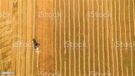 현장에서 일하는 수확기와 밀을 깍는다 우크라이나 공중 보기 가을에 대한 스톡 사진 및 기타 이미지 가을 곡초류 공중 뷰 Istock