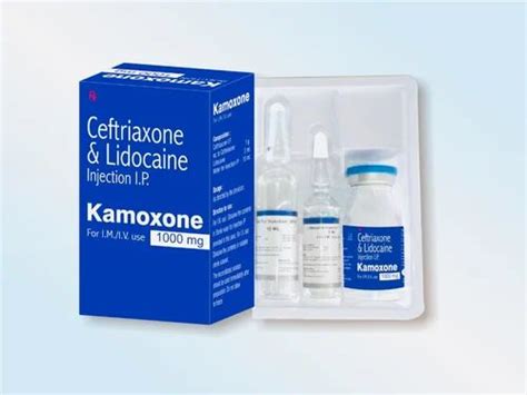 Siroha Ceftriaxone Lidocaine 1 Gm At ₹ 35 Vial In Mumbai Id 26762395291