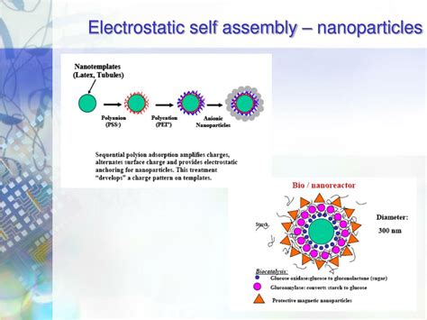 Ppt Topics In Nano Biotechnology Self Assembly Powerpoint Presentation Id1037684