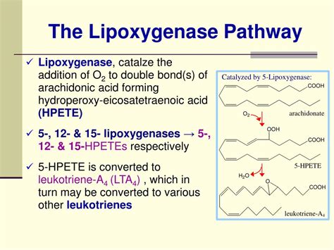 Ppt Eicosanoids Powerpoint Presentation Free Download Id 6877143