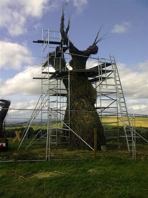 Picture Of The Wicker Tree 2012