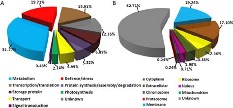 Functional Classifications A And Sub Cellular Localization B Of 421 Download Scientific