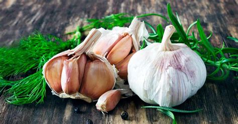 Чеснок: полезные свойства, о которых вы не знали