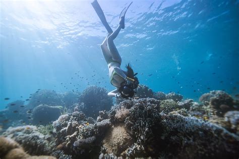 한은지 🤍꿀배의 서프라이즈 프러포즈 암튼 대성공이셔요🤍 서울 자가 아파트에서 예쁜 웨딩링 예쁜 명품 백 풍선과 꽃 케이크까지 열심히 준비한 영배 옆에서 귀엽게
