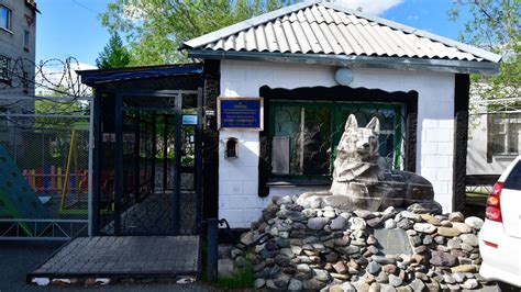 ИК 3 «Полярный волк в Харпе где умер Навальный что известно о колонии «Красный Север