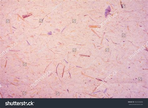 74 한지 느낌 책 스톡 사진 이미지 및 사진 Shutterstock