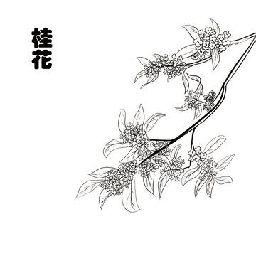 花线稿素材 花线稿图片 花线稿设计模板 昵图网