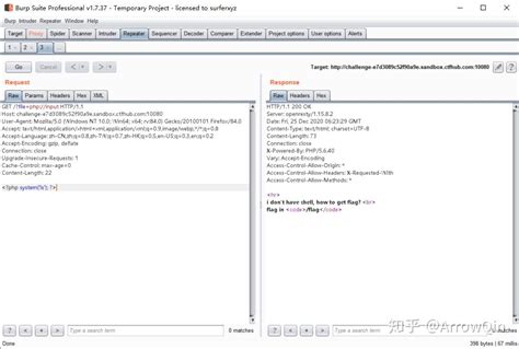 手撕CTFHub Web 七 RCE 知乎