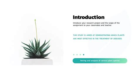 STEM Study Findings Template