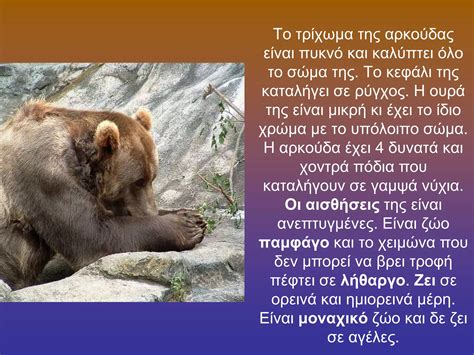 ζωα υπο εξαφανιση Ppt