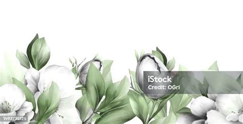 흰 꽃과 매끄러운 테두리 결혼식 문구 인사말 등을 위한 봄 꽃 패턴 0명에 대한 스톡 벡터 아트 및 기타 이미지 0명 꽃 식물 꽃무늬 Istock