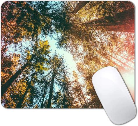 Beautiful Sky Mouse Pad Sublime Trees Nature View Mouse Pad California Redwoods Sun Rays And