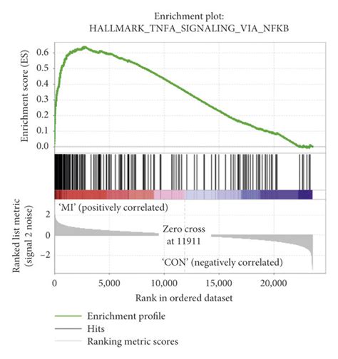 Gene Set Enrichment Analysis Of Gse19339 Significantly Enriched Gene Download Scientific