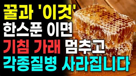 값비싼 영양제 대신 이것 드세요 기침 가래 염증 각종 질병 싹 사라집니다 꿀과 함께 먹으면 보약보다 좋은 음식 4가지와 기적의 레시피 Youtube