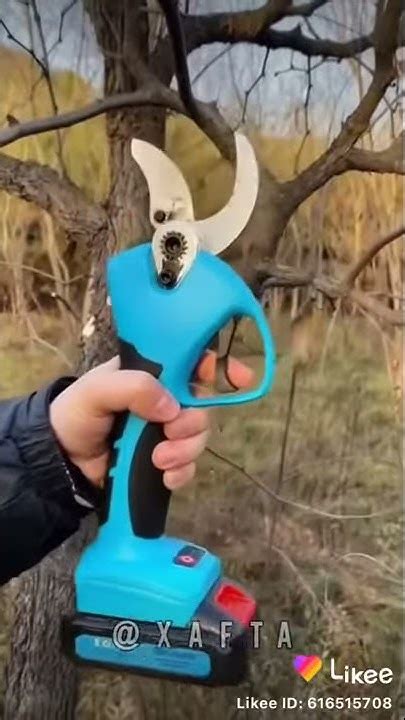 ვენახის სასხლავი Youtube