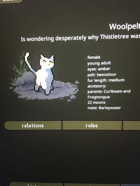 Two Color Sprites Dont Have Two Colors Anyone Else Who Has Cats Like