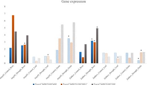 In Silico Transcriptomic Expression Of Drought Tolerant Genes Two