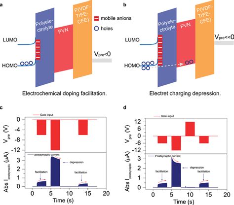 Working Principle Of Eecs And Its Electrical Characteristics Of
