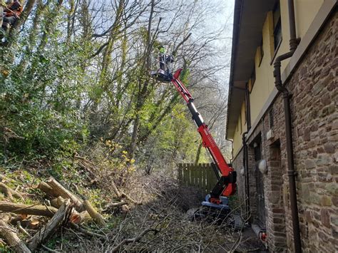 Cherry Picker Hire Cost A Handy Guide To Cherry Picker Hire Prices