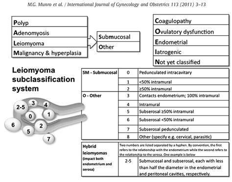 Ge Voluson™ Club Ultrasound Practice Guidelines