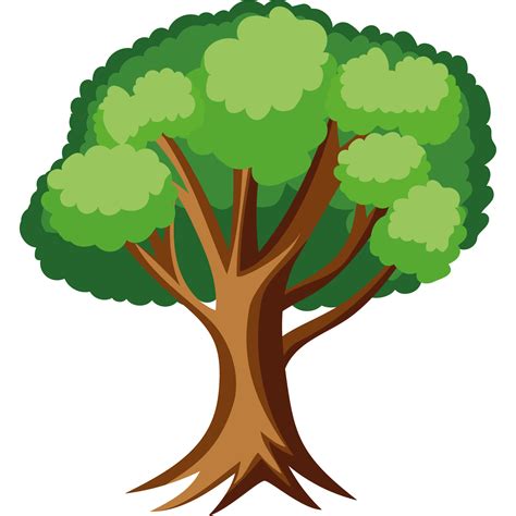 Elm Tree Foliage 60516341 Png