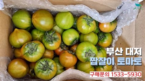 신바람 농산물 협력농가 판매상품 부산 대저 짭잘이 토마토 판매합니다 중고트랙터 중고농기계 경운기 관리기 스키로더 굴삭기 화물트럭 매매 직거래 장터 사이트 Youtube